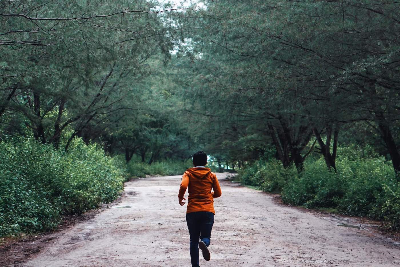 Developing your running training programme – PhysioMotion, London